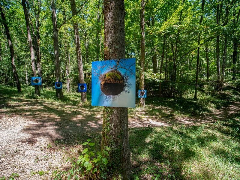Exposition en forêt - Grenade sur Garonne